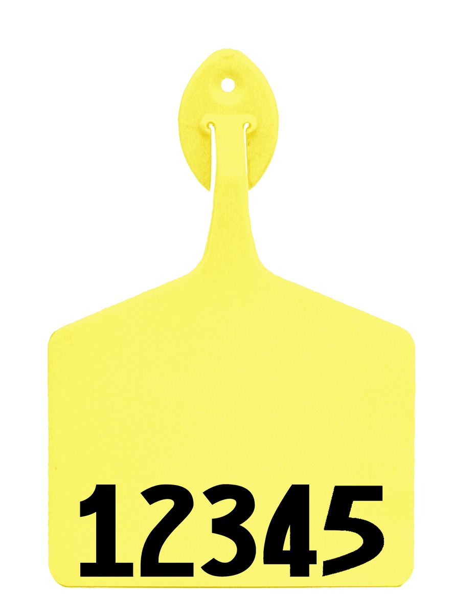 Allflex Feedlot ID Cattle Tags Blank – Animal Health Express