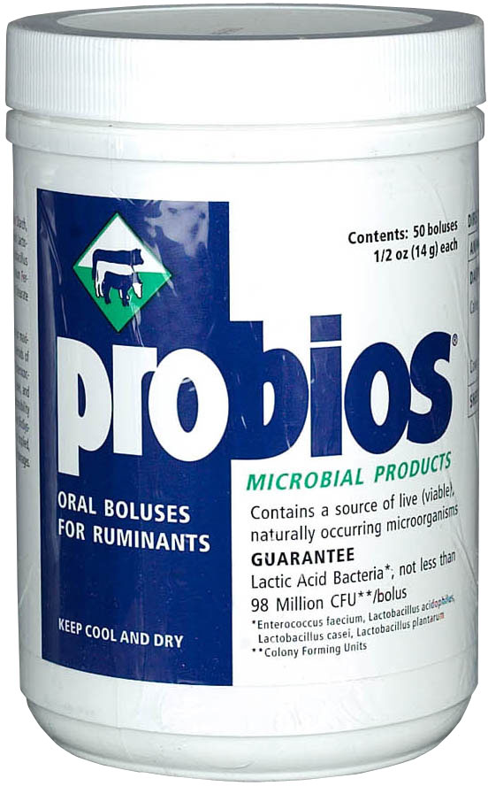 Probios Boluses 1/4 oz (jar of 50) – Animal Health Express