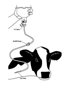 JorVet Disposable IV Set large-bore – Animal Health Express