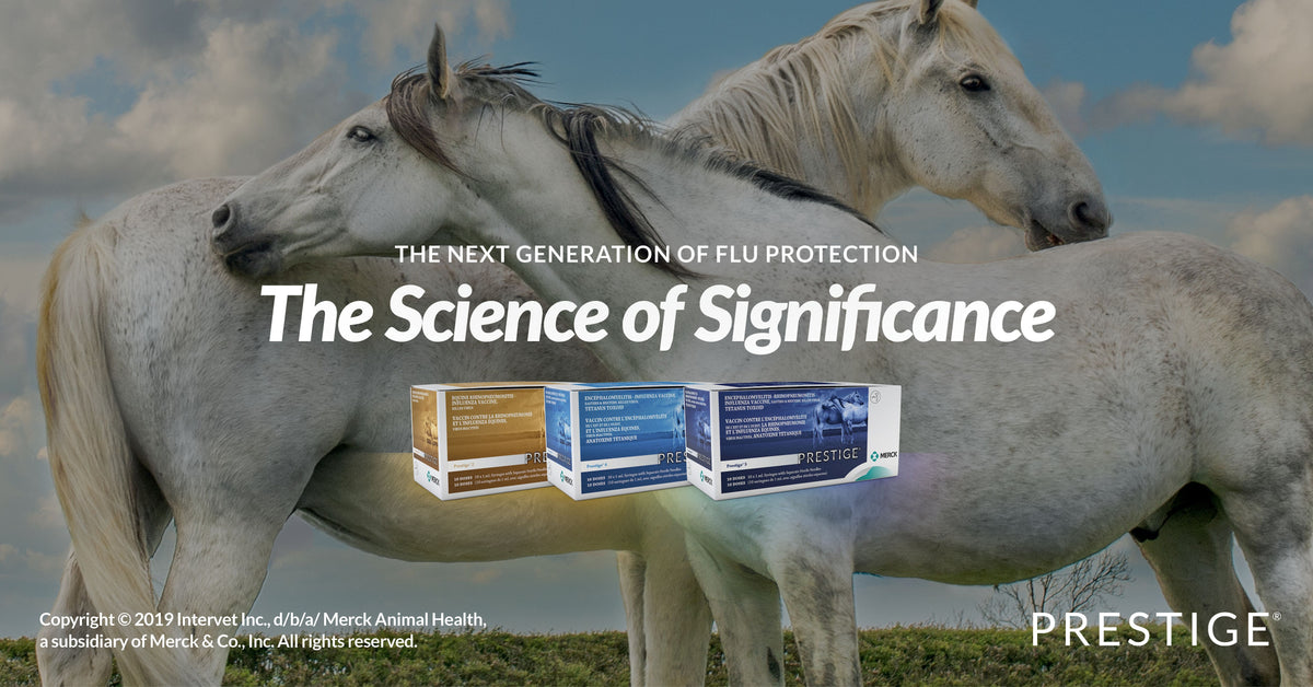 Prestige 2 (Rhino + Flu) Merck Animal Health – Animal Health Express