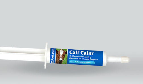Calf Calm – Animal Health Express