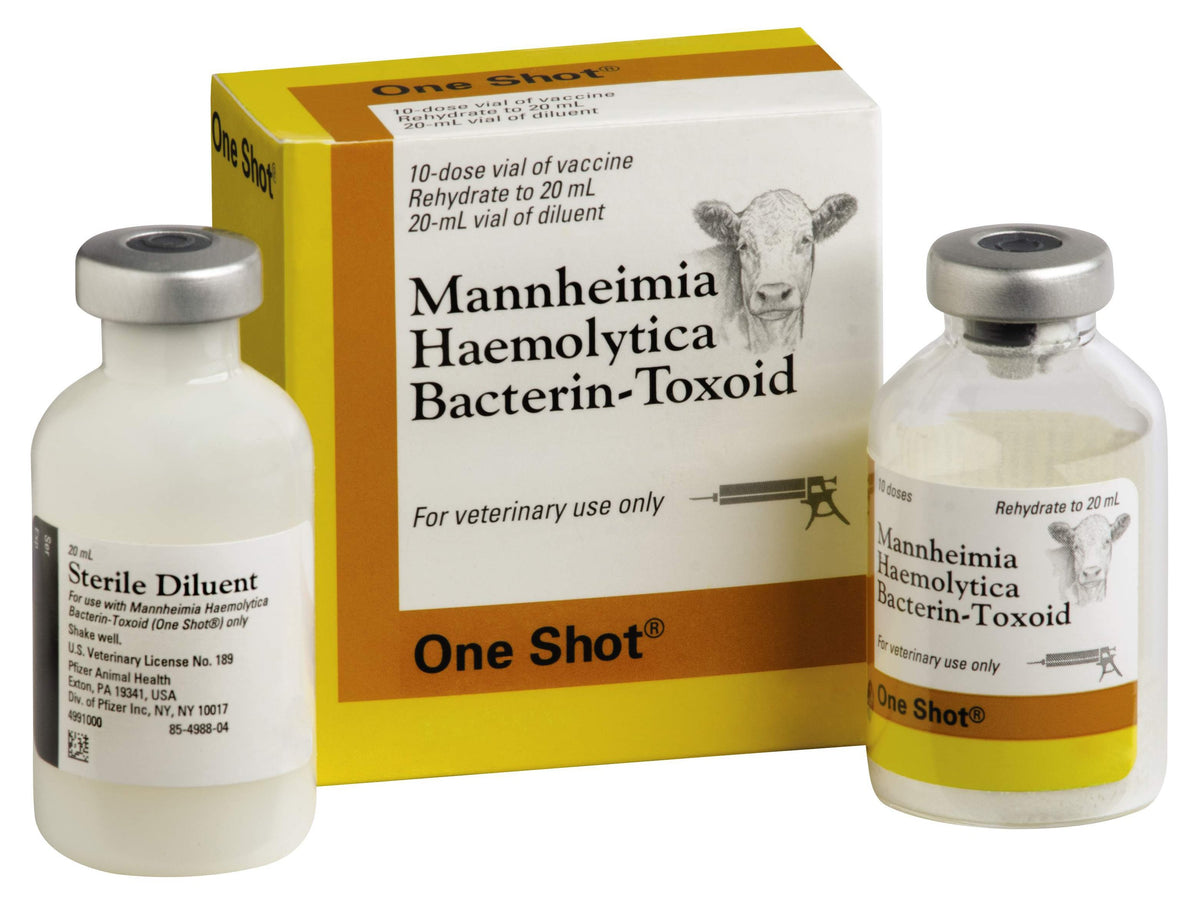 One Shot Cattle Pasteurella Vaccine – Animal Health Express