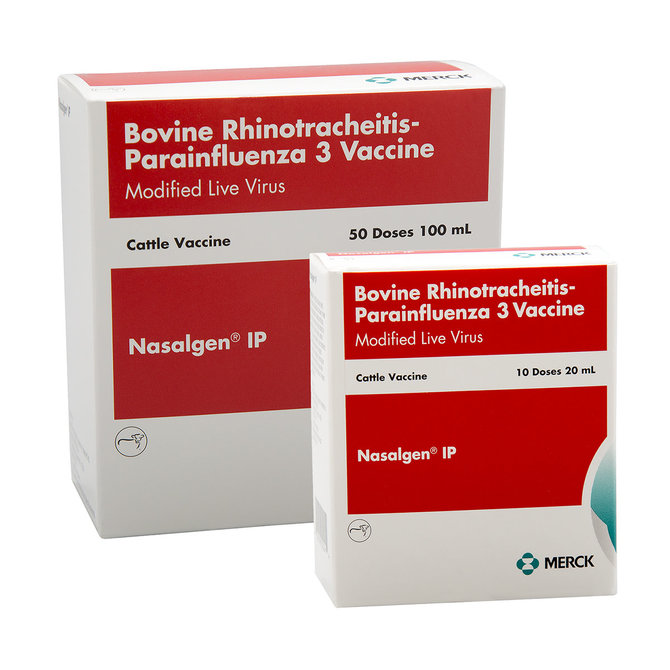 Merck Nasalgen IP – Animal Health Express